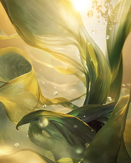 ザ･バランシング トリートメント ローション | ラ・メール La Mer 公式オンラインショップ